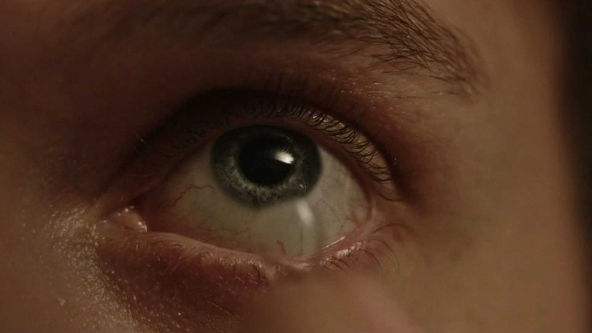 15 CAMERAS - Trailer Horror movie by ornana On Postpace